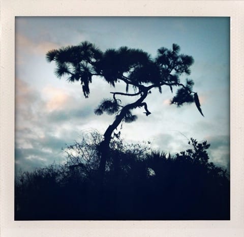 2010 Winners – IPPAWARDS | iPhone Photography Awards