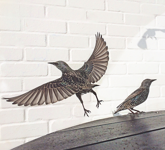 IPPAWARDS | iPhone Photography Awards – Celebrating the creativity of ...