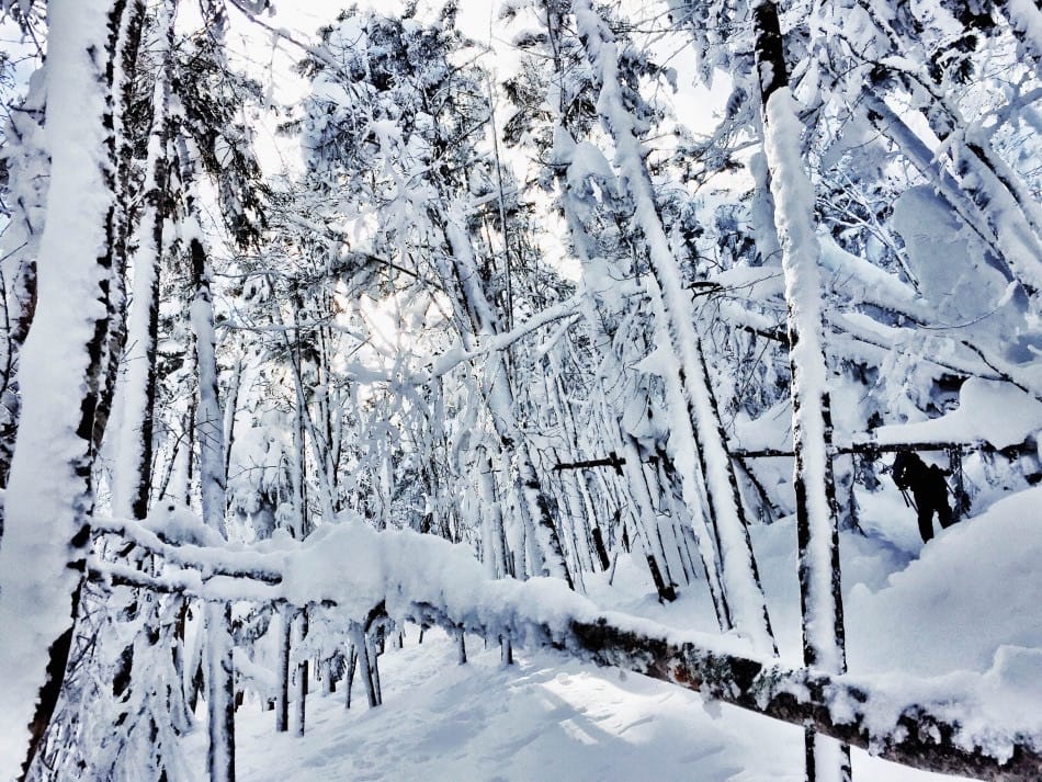 2015 Winners – Seasons – IPPAWARDS | iPhone Photography Awards