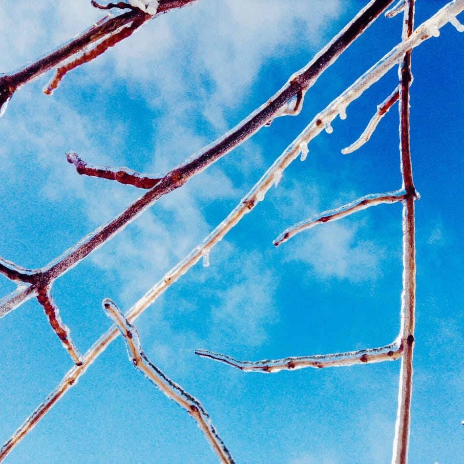 2015 Winners – Nature – IPPAWARDS | iPhone Photography Awards