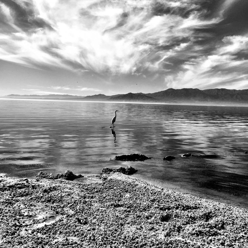 2015 Winners – Nature – IPPAWARDS | iPhone Photography Awards