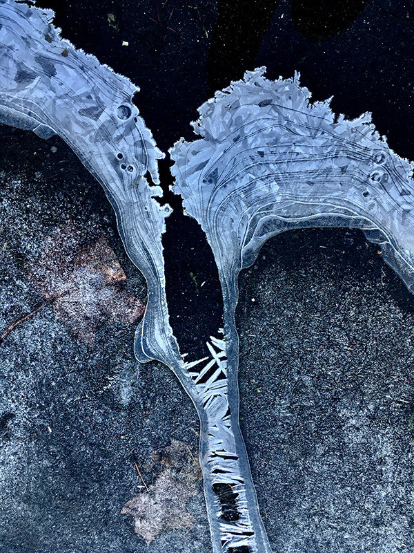 Colin Duchin 2 – IPPAWARDS | iPhone Photography Awards