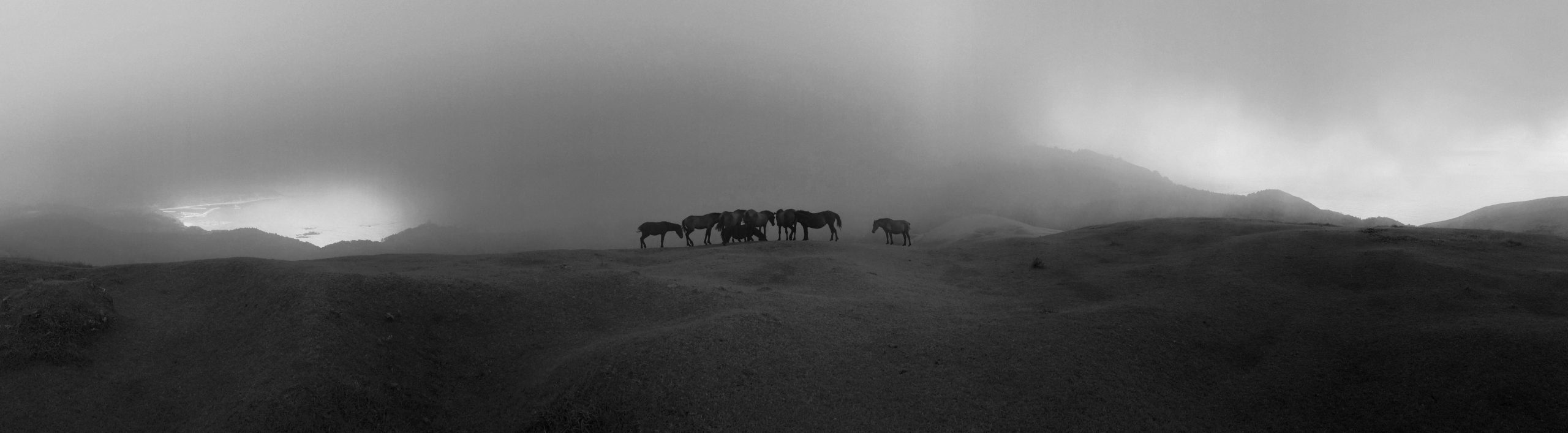 Yuming Chen – IPPAWARDS | iPhone Photography Awards