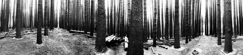 2020 Winners – Panorama – IPPAWARDS | iPhone Photography Awards