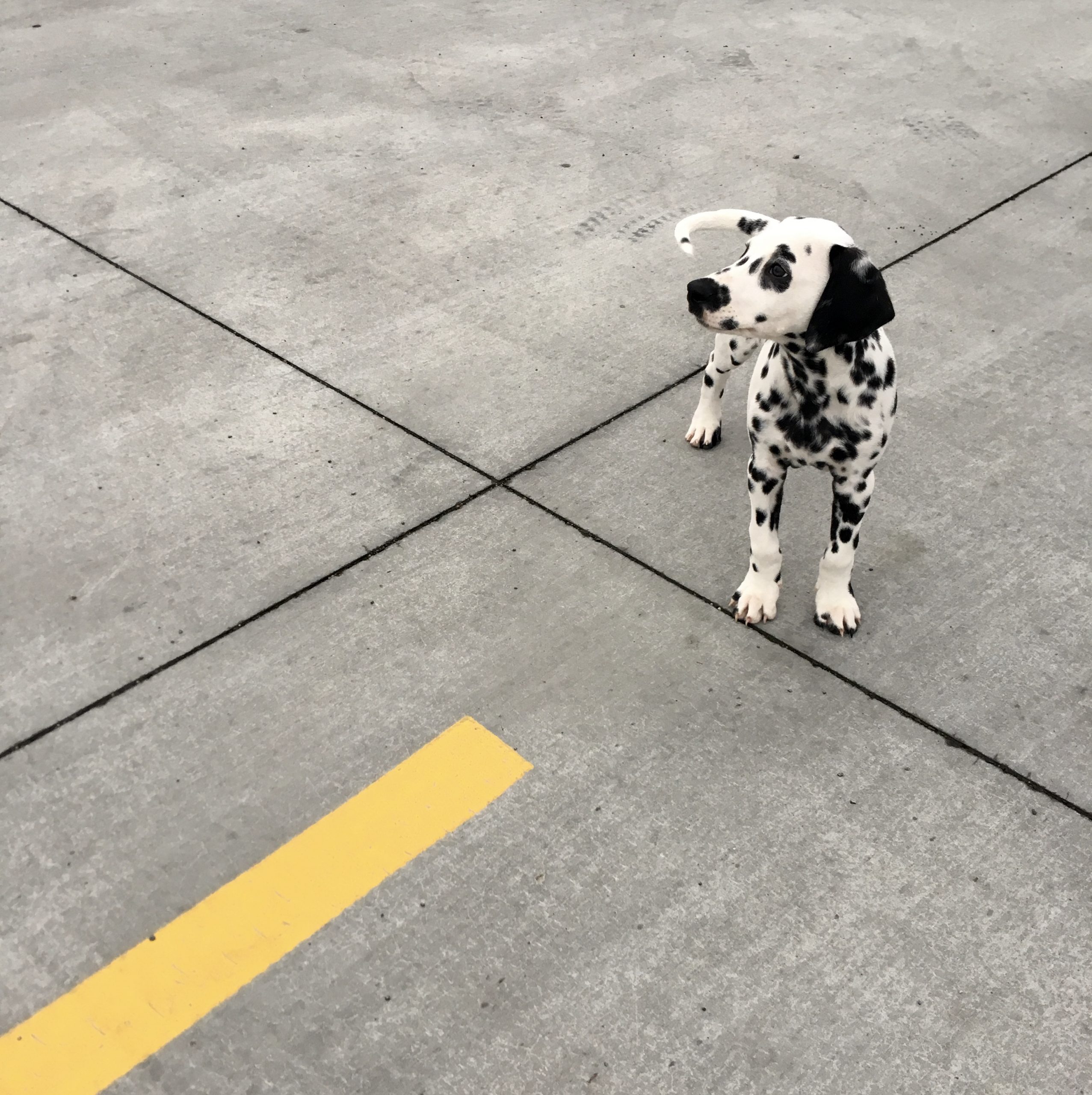 M. Scott Moon – IPPAWARDS | iPhone Photography Awards