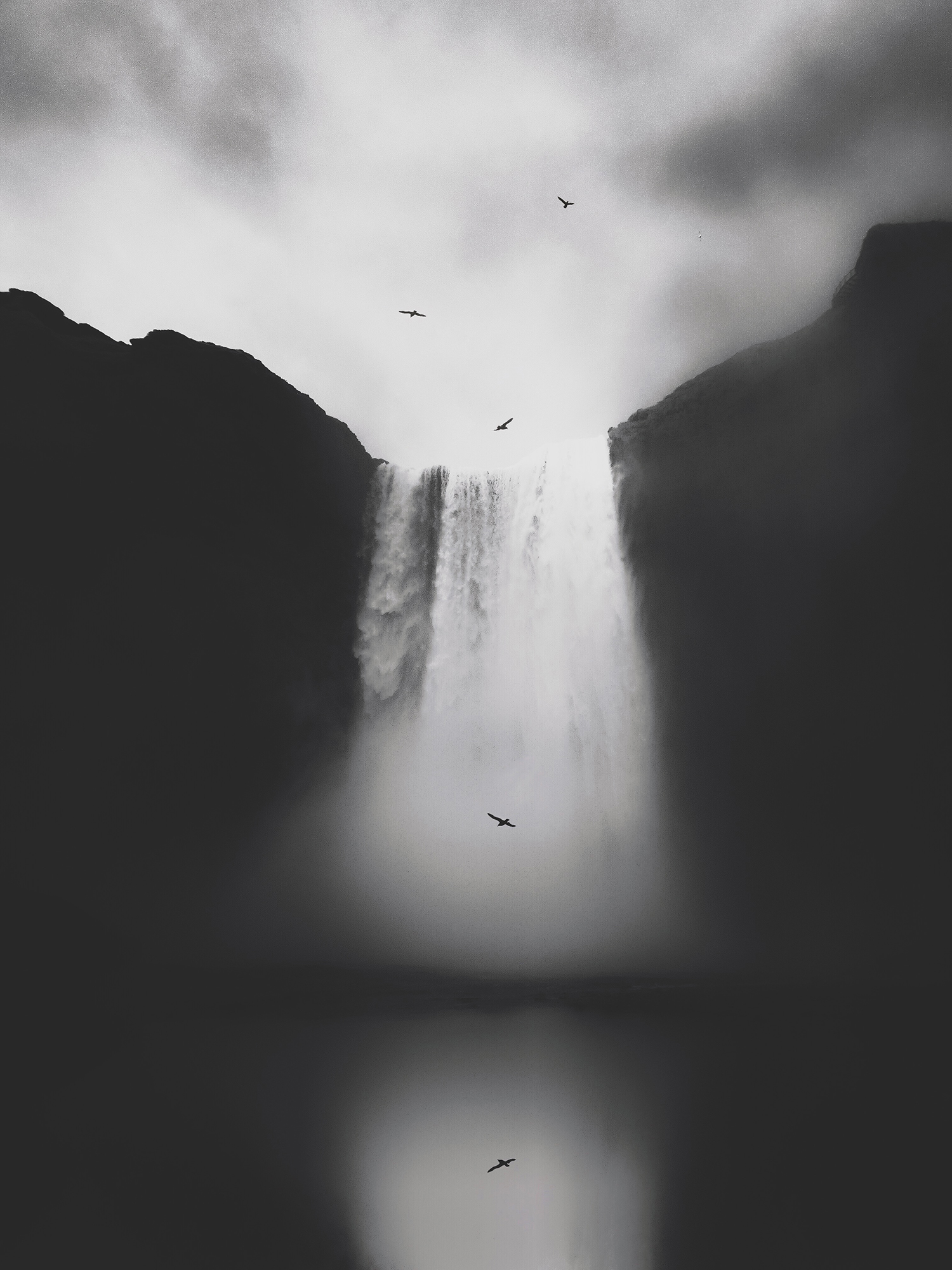 2020 Winners – Nature – IPPAWARDS | iPhone Photography Awards