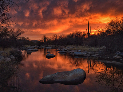 2020 Winning Photographers – IPPAWARDS | iPhone Photography Awards