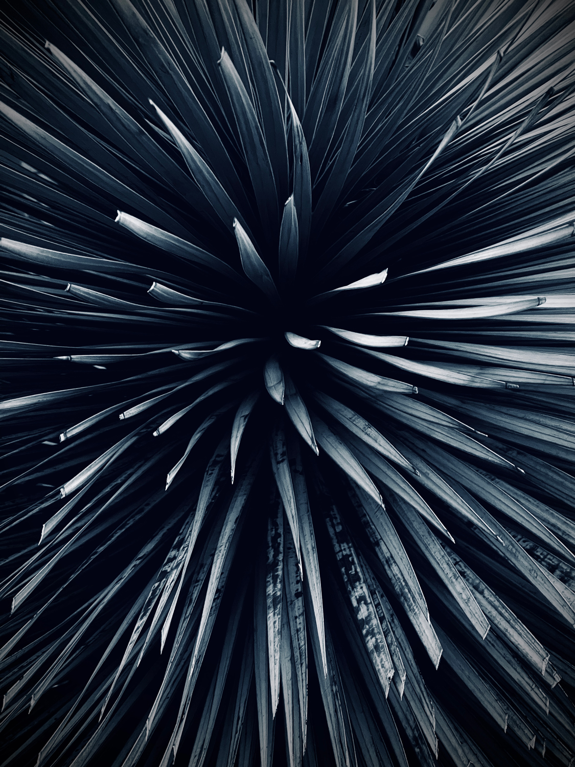 Yoichi Sato – IPPAWARDS | iPhone Photography Awards
