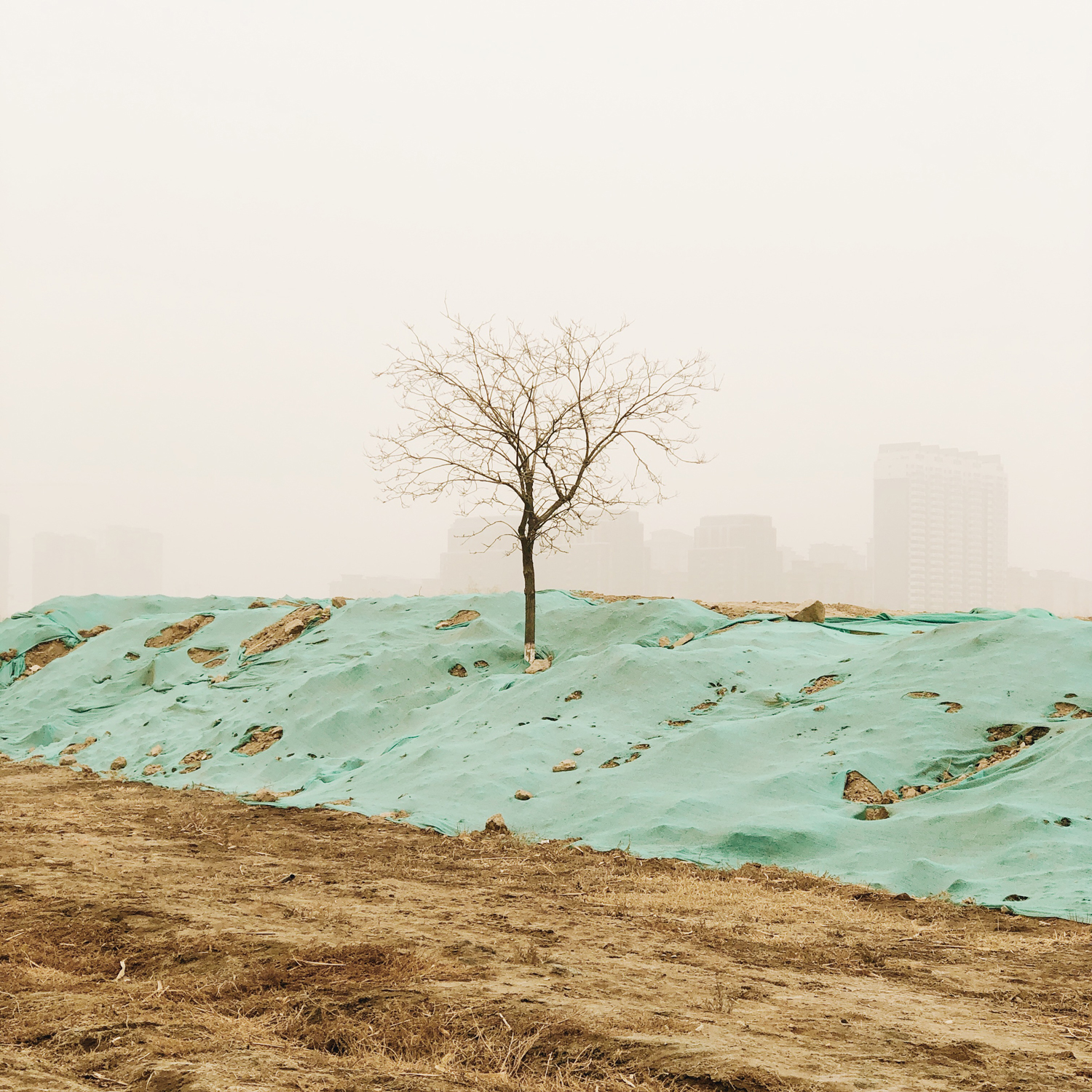 Sha Li – IPPAWARDS | iPhone Photography Awards