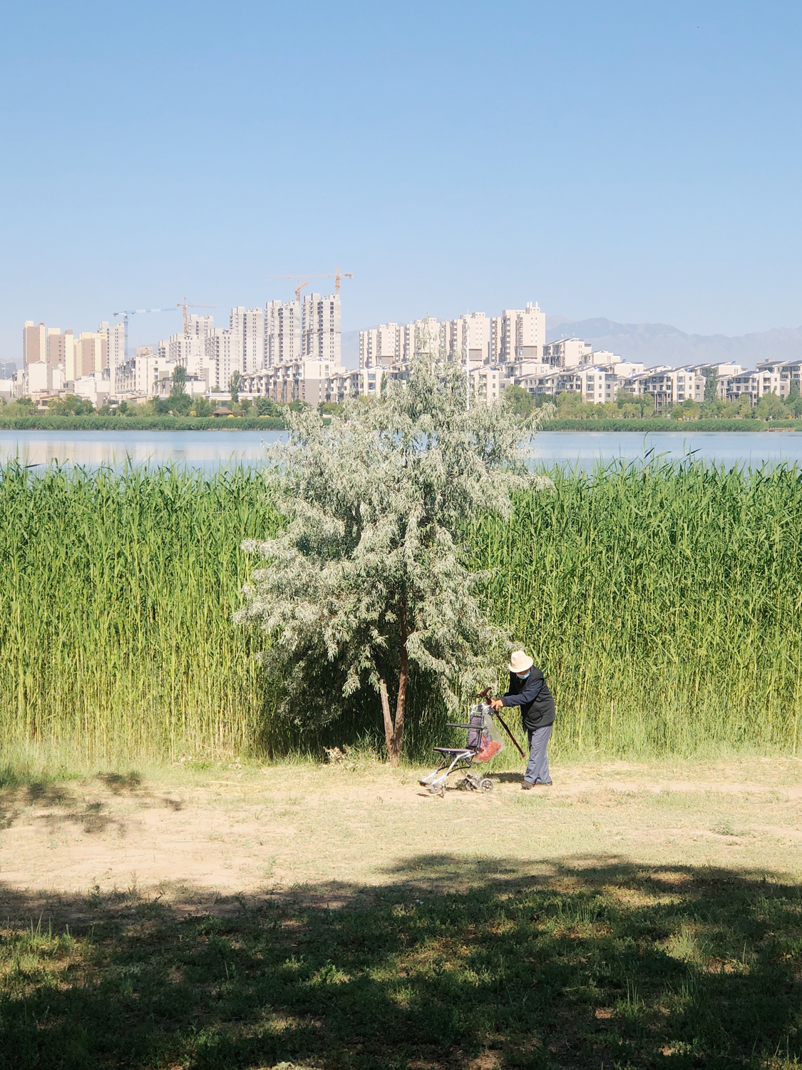 Sha Li – IPPAWARDS | iPhone Photography Awards