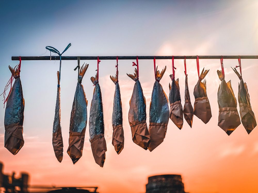 2022 Winners – Still Life – IPPAWARDS | iPhone Photography Awards