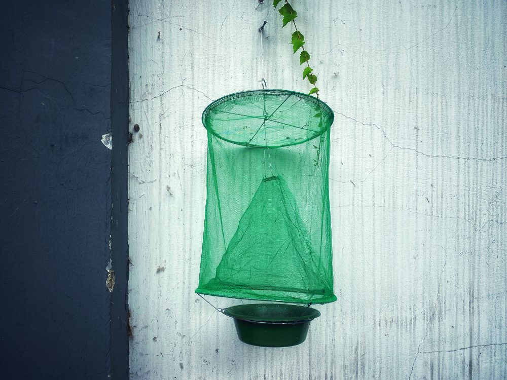 2018 Winners – Nature – IPPAWARDS | iPhone Photography Awards