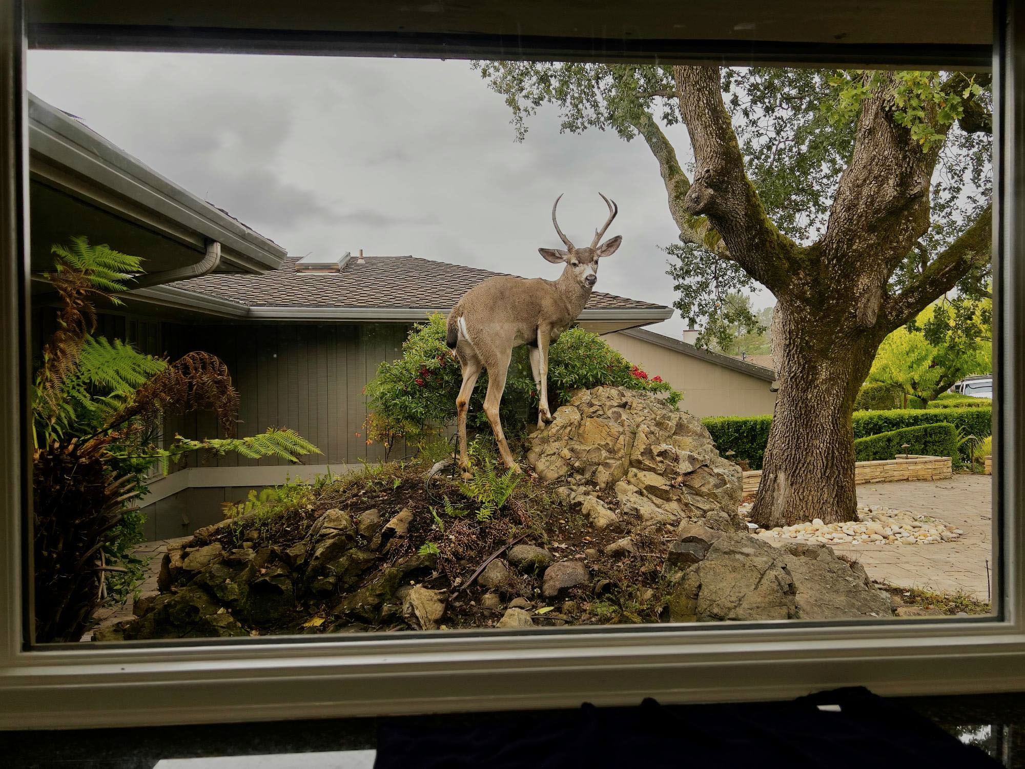 Stuart Bass – United States – IPPAWARDS | iPhone Photography Awards