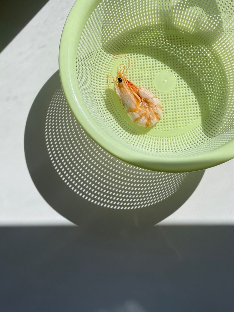 2023 Winners – Still Life – IPPAWARDS | iPhone Photography Awards