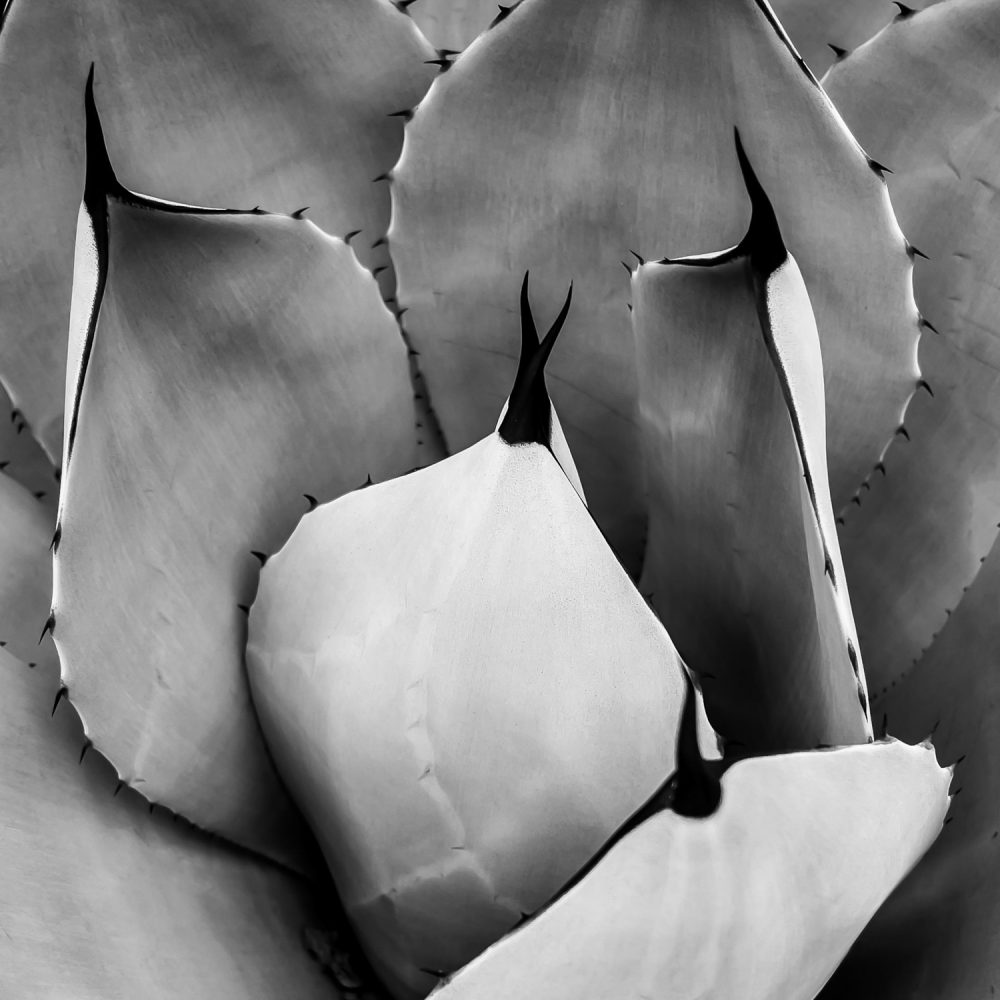 2015 Winners – Abstract – IPPAWARDS | iPhone Photography Awards