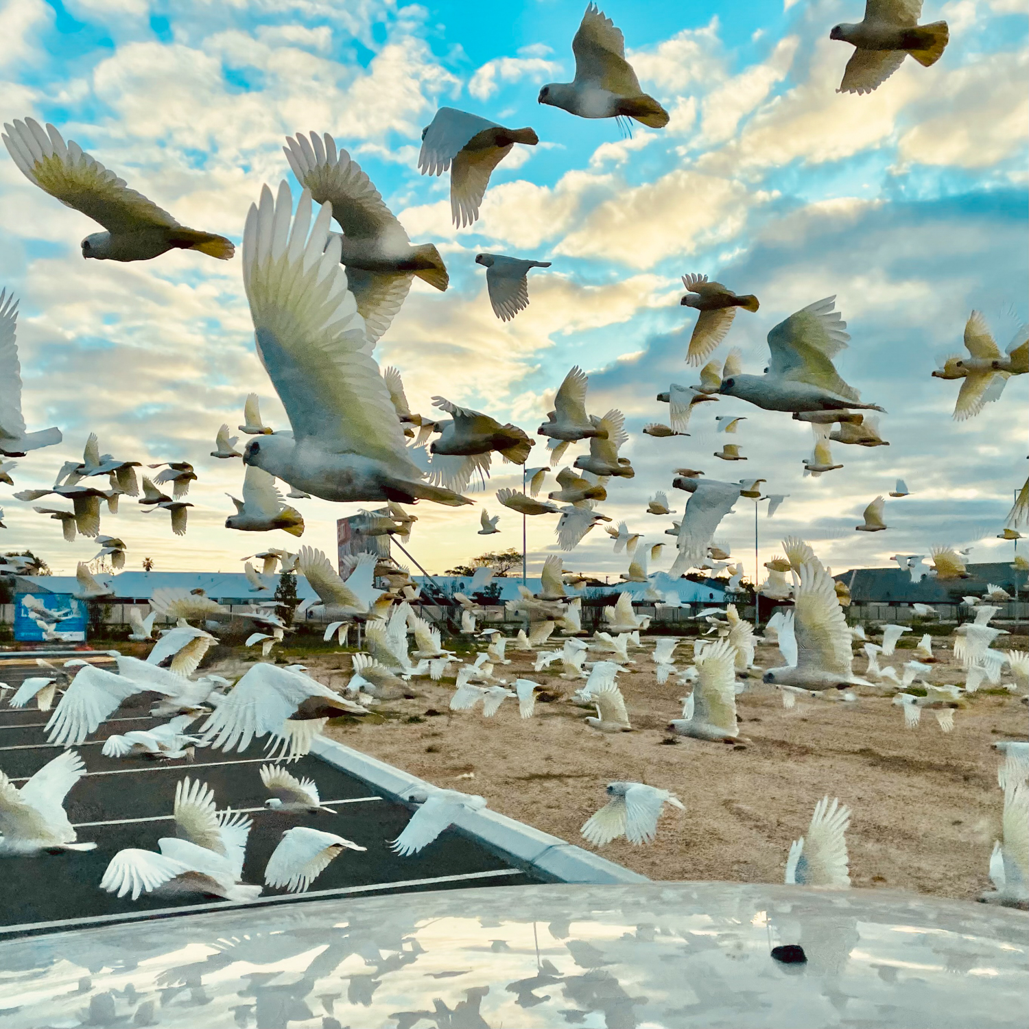 2023 Winning Photographers – IPPAWARDS | iPhone Photography Awards