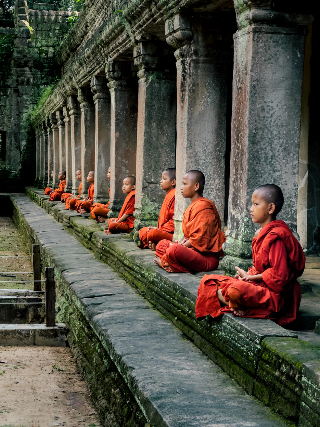 2024 – Photographers of the Year – IPPAWARDS | iPhone Photography Awards