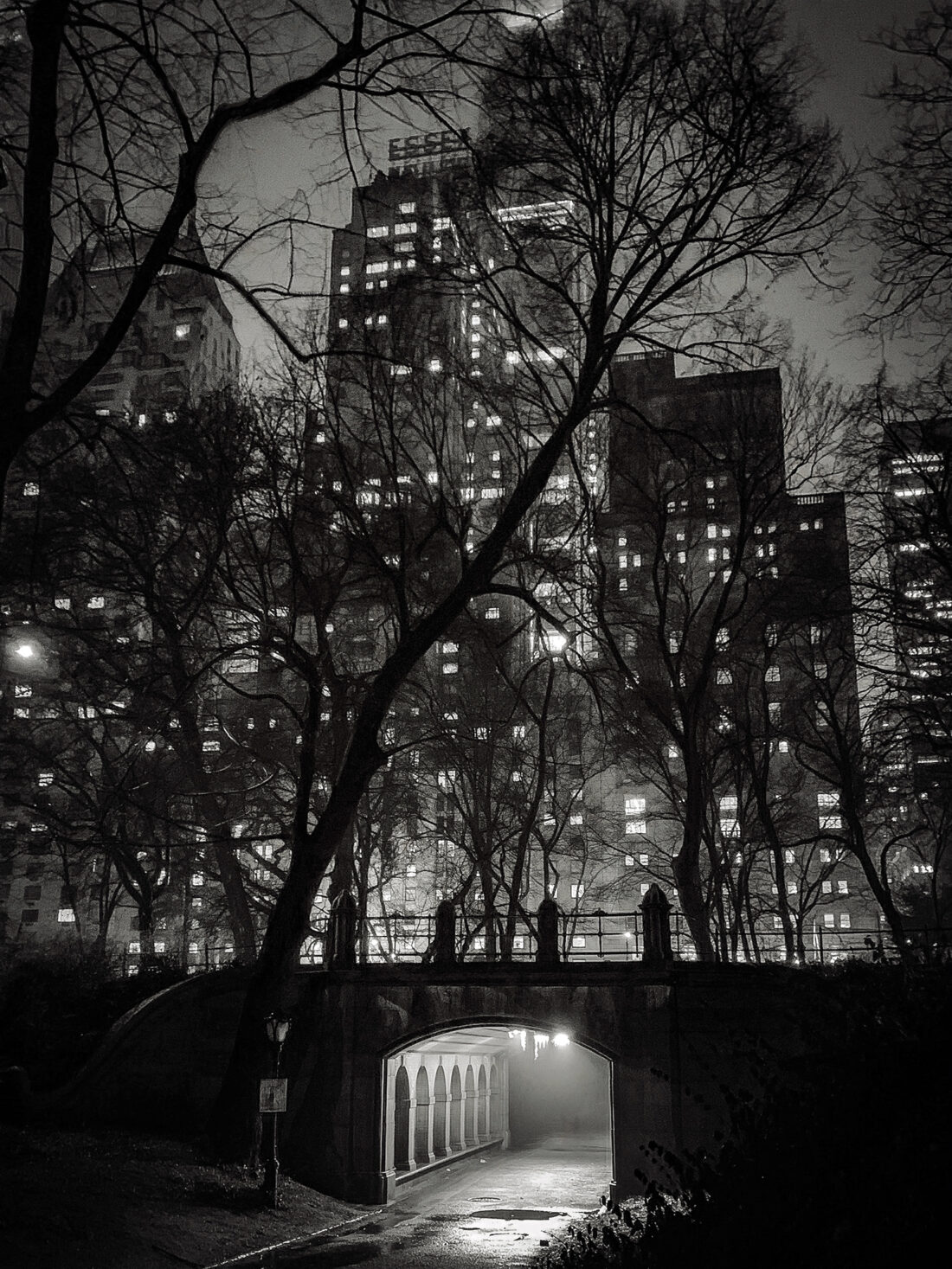 2025 Winning Photographers – IPPAWARDS | iPhone Photography Awards