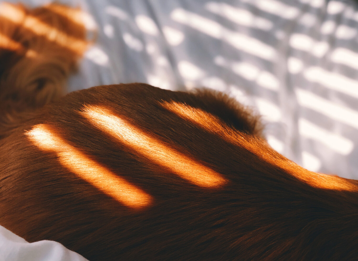 2020 Winners – Architecture – IPPAWARDS | iPhone Photography Awards